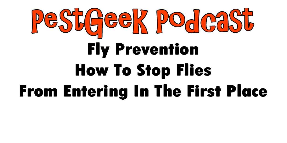 Fly Prevention How To Stop Flies From Entering In The First Place ...
