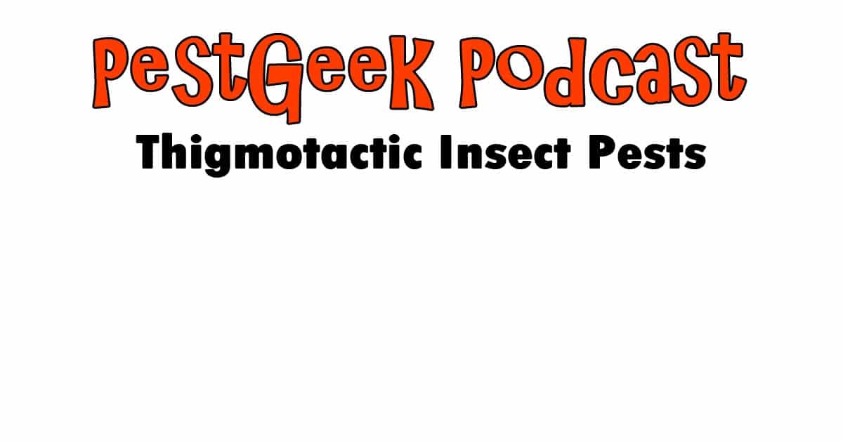 Thigmotactic Insect Pests – Pest Geek Pest Control Podcast