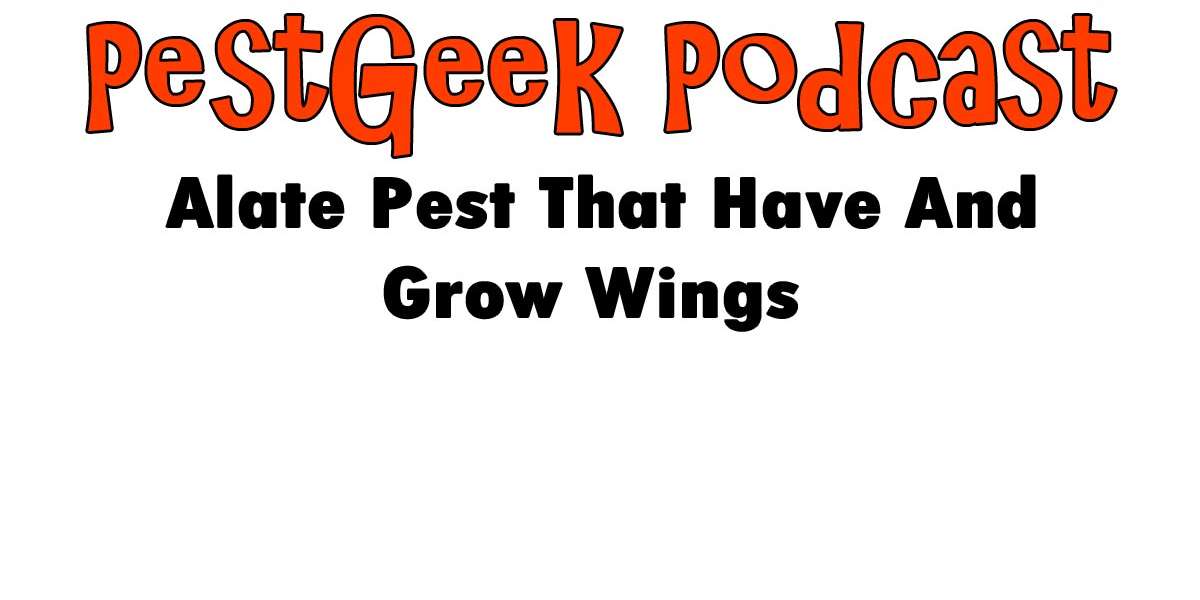 Alate Insect Pest That Have Wings and Others The Grow Wings – Pest Geek ...